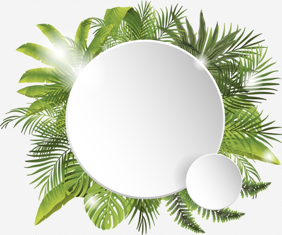 Clipart frames psd download - summer frames free psd