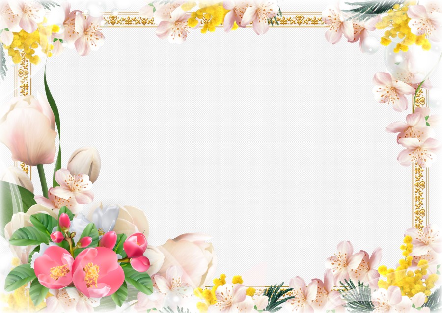 Spring flowers, photo frame.