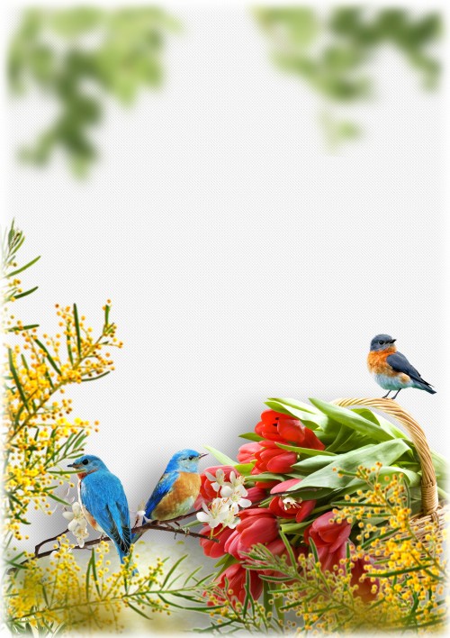 Spring flowers frame, photo frame PNG, PSD