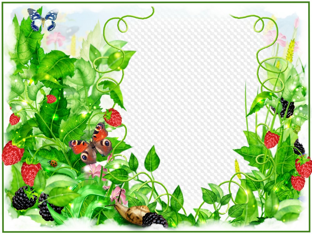 Four summer photo frames in one PSD! Beauty of nature!