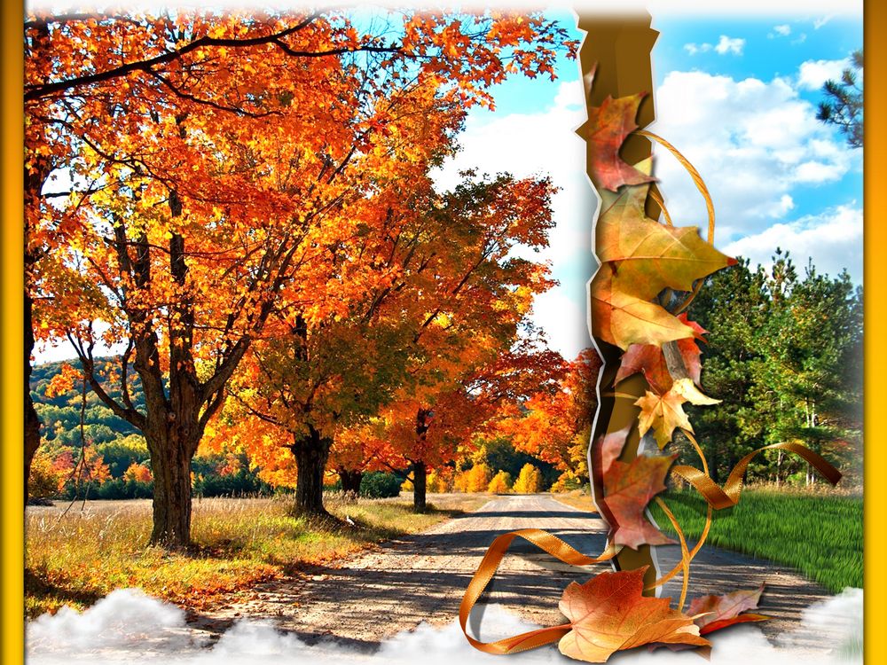 Frame with autumn background for collage