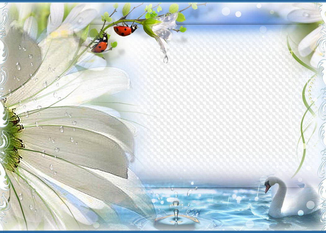 Warm spring holiday frame, 3 PNG frames in PSD
