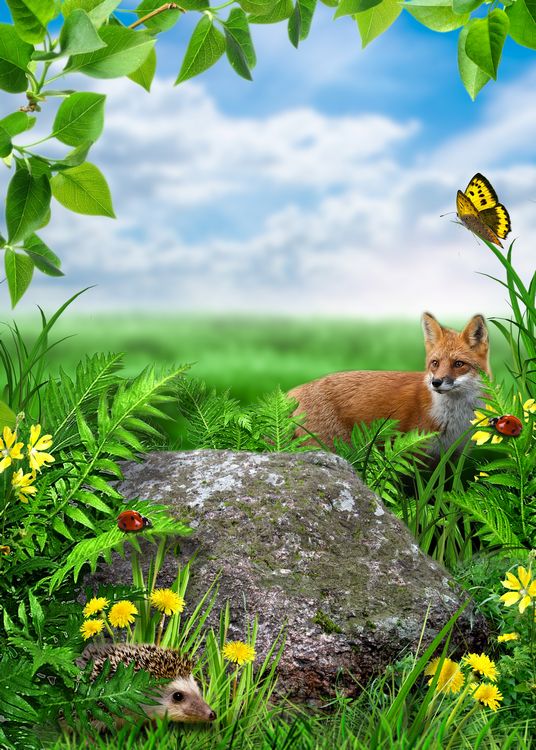 Nature Photoshop frame free psd, Nature psd frame collage download