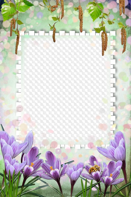 Crocuses frame, PSD photo frame