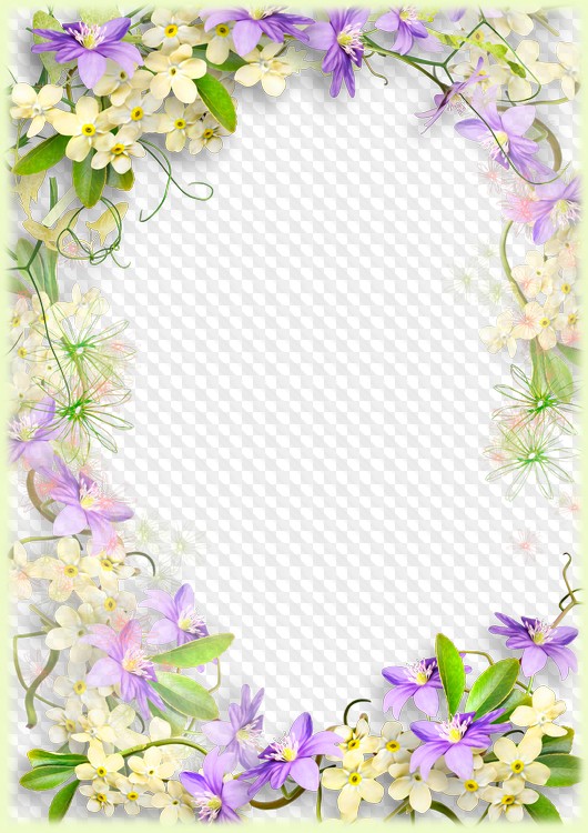Delicate spring flowers frame PNG, photo frame PSD
