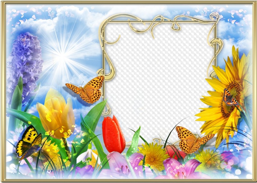 Warm spring holiday frame, 3 PNG frames in PSD