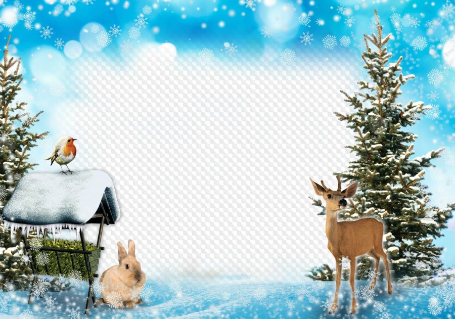 Life in the winter forest frame PNG, PSD.