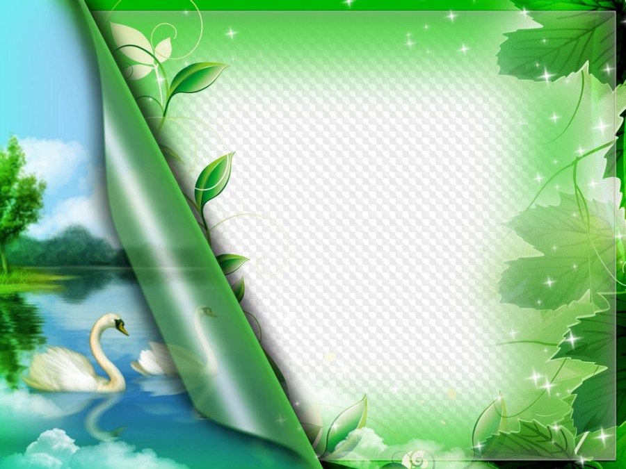 Summer frame PNG, photo frame PSD, download