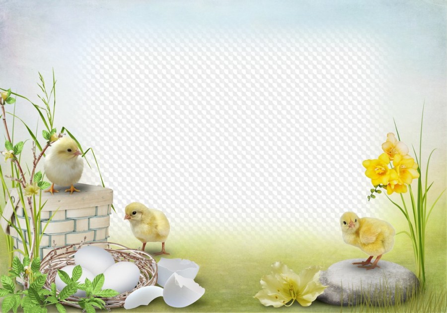 Chickens frame, PSD photo frame with yellow chickens