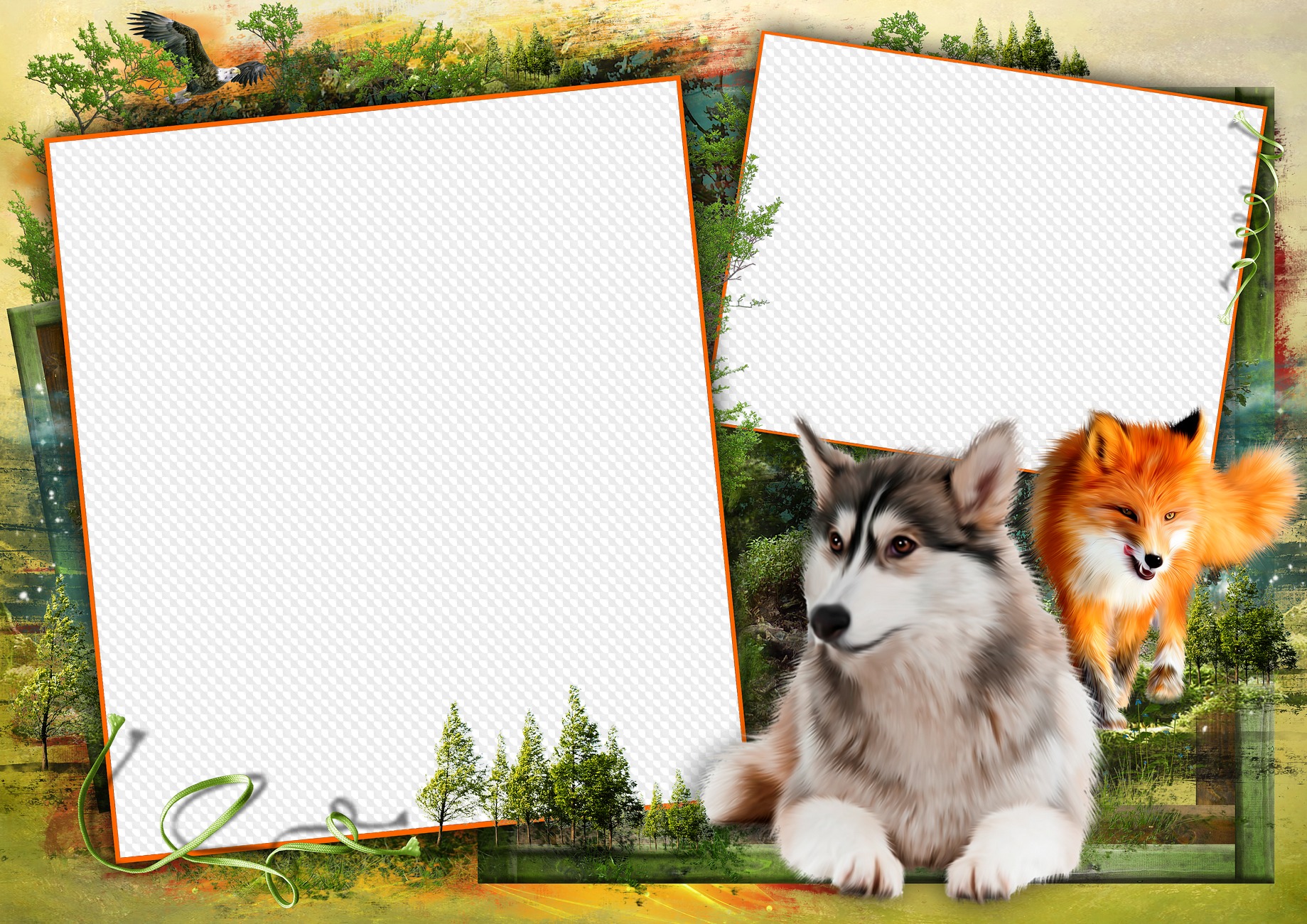 Summer Photo frames In the wild forest download
