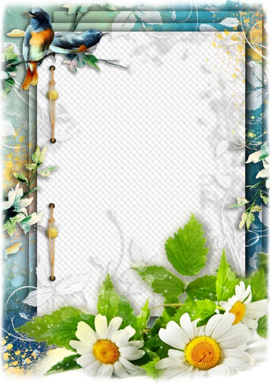 Birds and daisies frame PNG, summer photo frame PSD