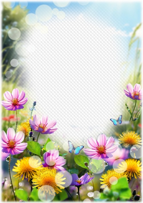 Flower frame PNG