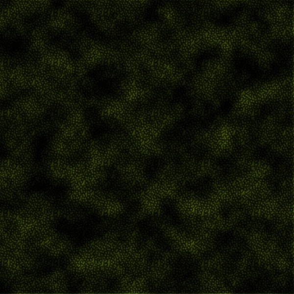Snake Color Textures