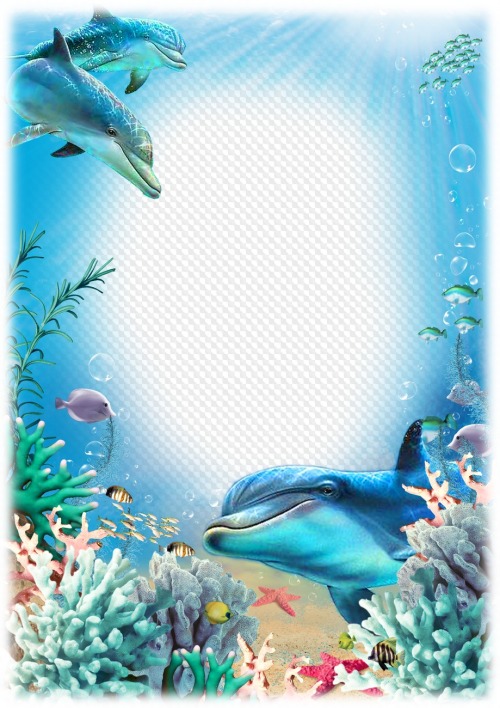 With dolphins, underwater frame PNG, photo frame PSD