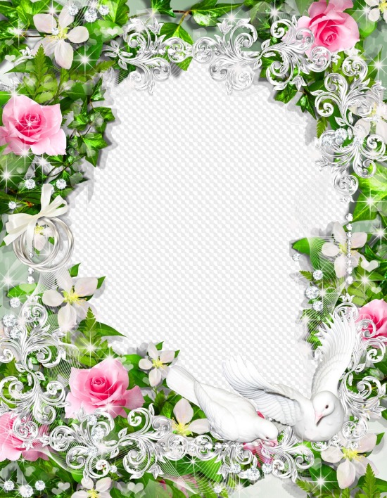 Wedding frame with white doves
