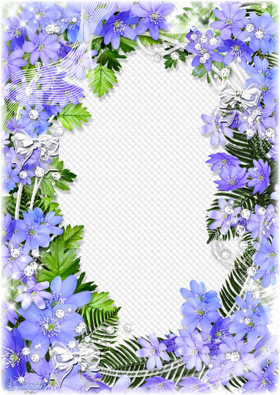 Download photo frame Blue flowers