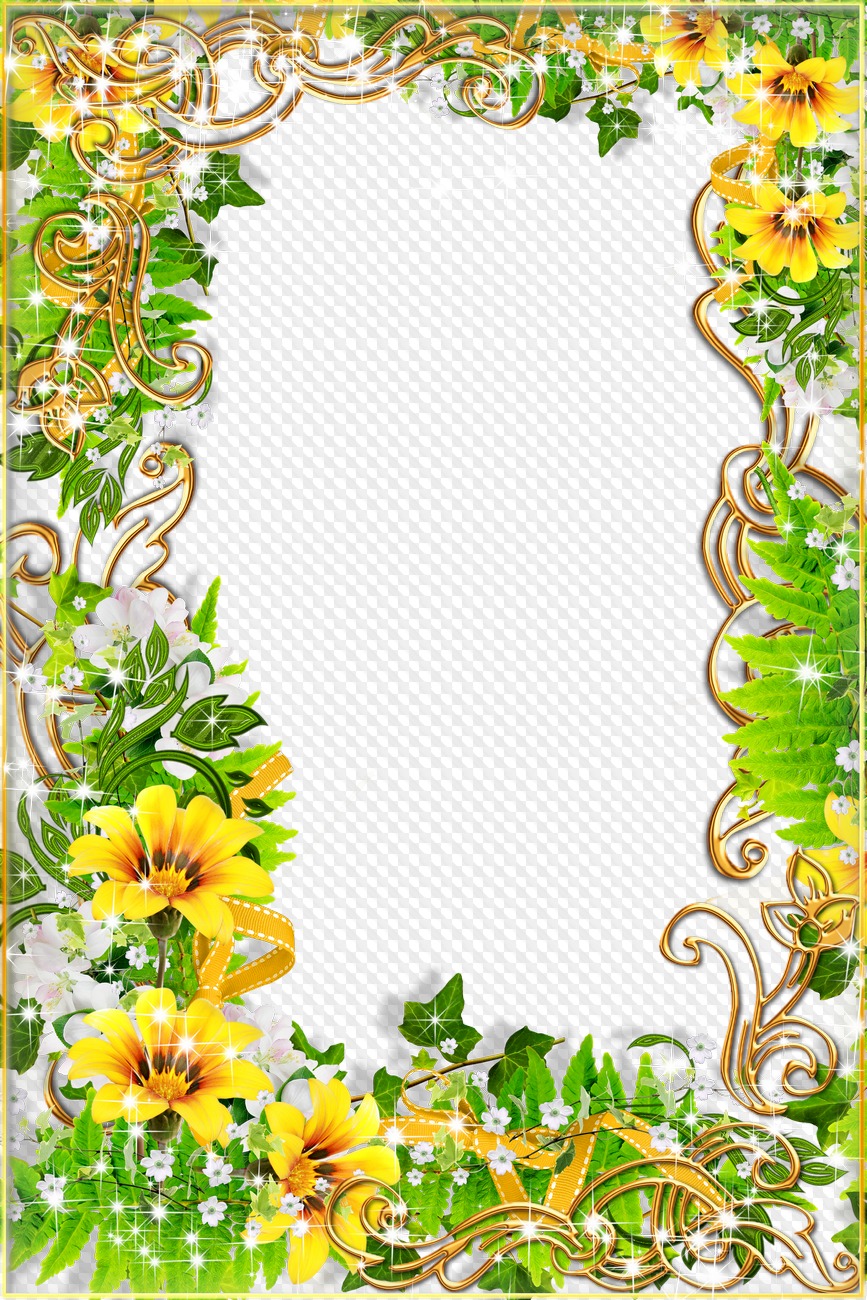 Yellow Floral Frame Png