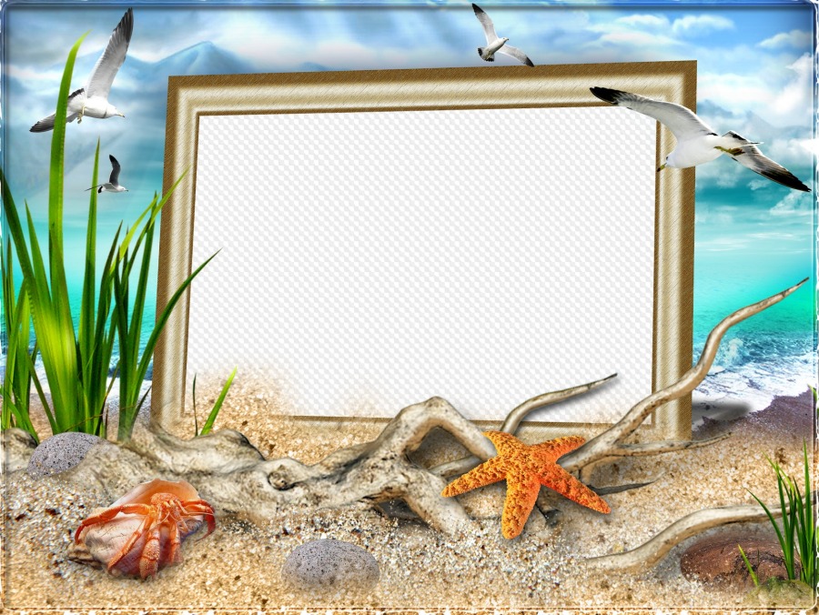 Nature 5 Frames PNG to PSD
