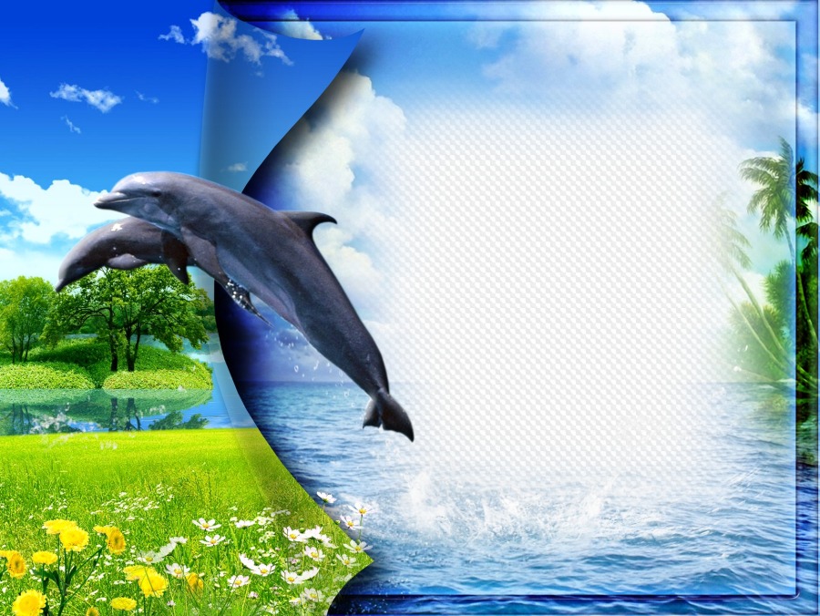 Nature 5 Frames PNG to PSD