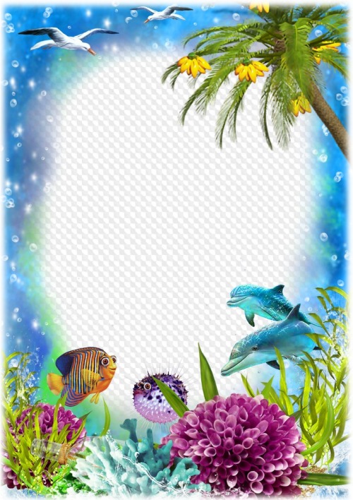 Underwater world, photo frame with dolphins PNG, PSD