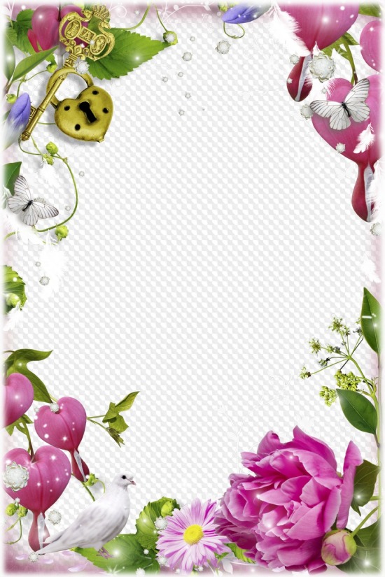 Spring flowers photo frame
