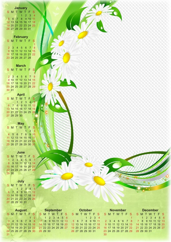 Delicate daisies 2025 Calendar photo frame PNG, PSD, download