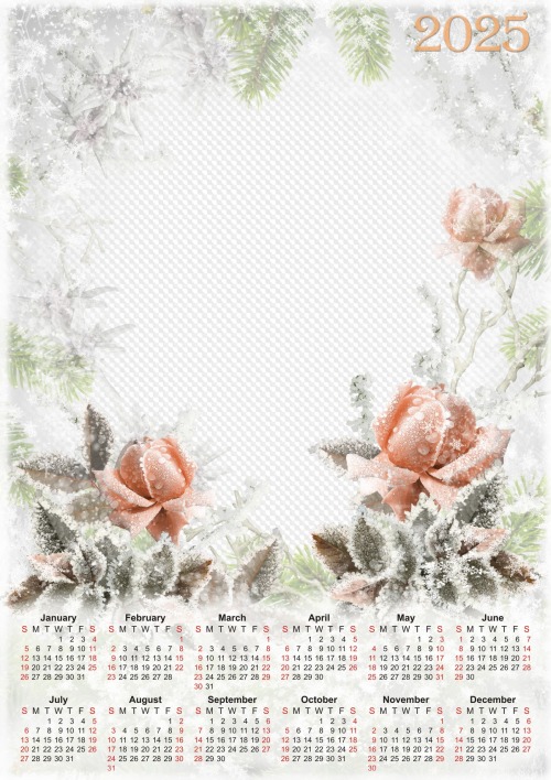 Download 2025 Calendar photo frame template, Winter roses