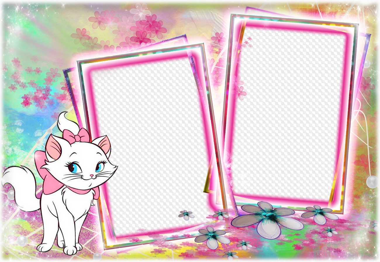Photo frame for two portraits with a white cat