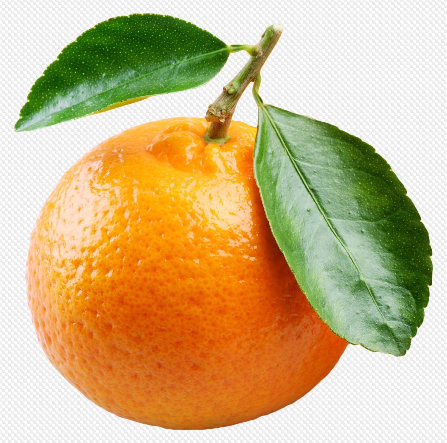 Citrus PNG: orange, mandarin, lemon, lime, grapefruit, 30 HQ PNG ...