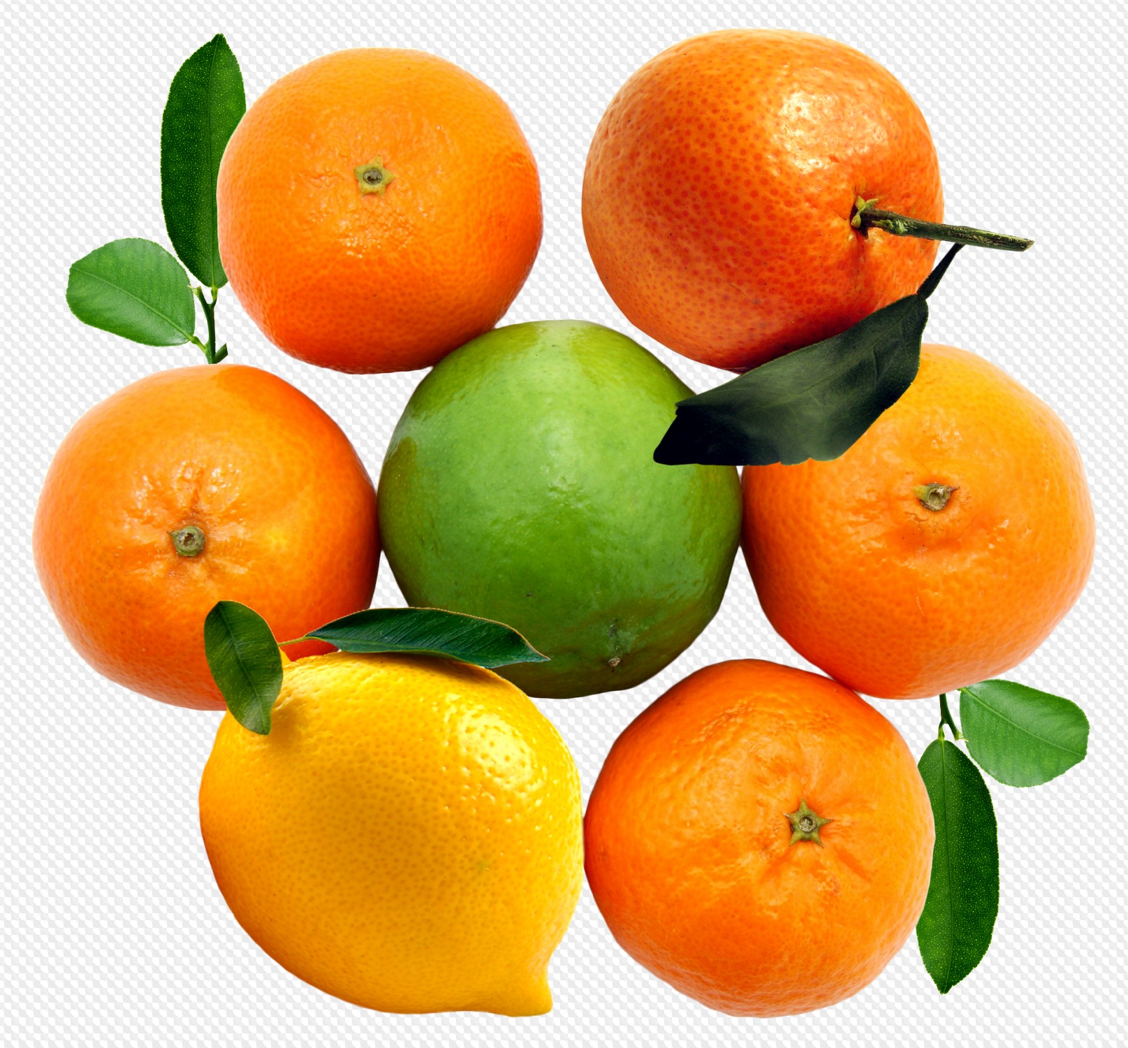 Citrus PNG: orange, mandarin, lemon, lime, grapefruit, 30 HQ PNG ...