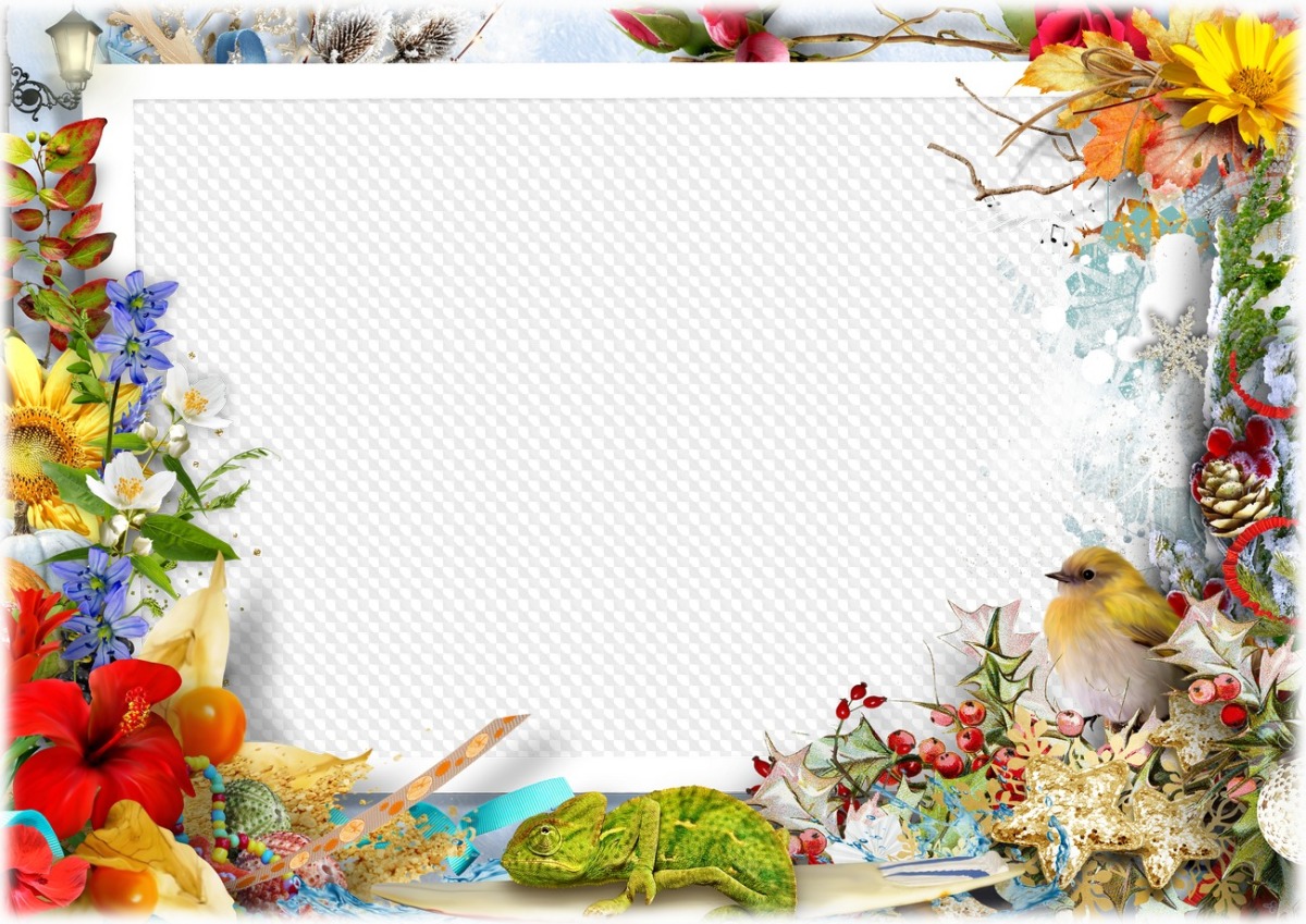 Seasons, wide photo frame
