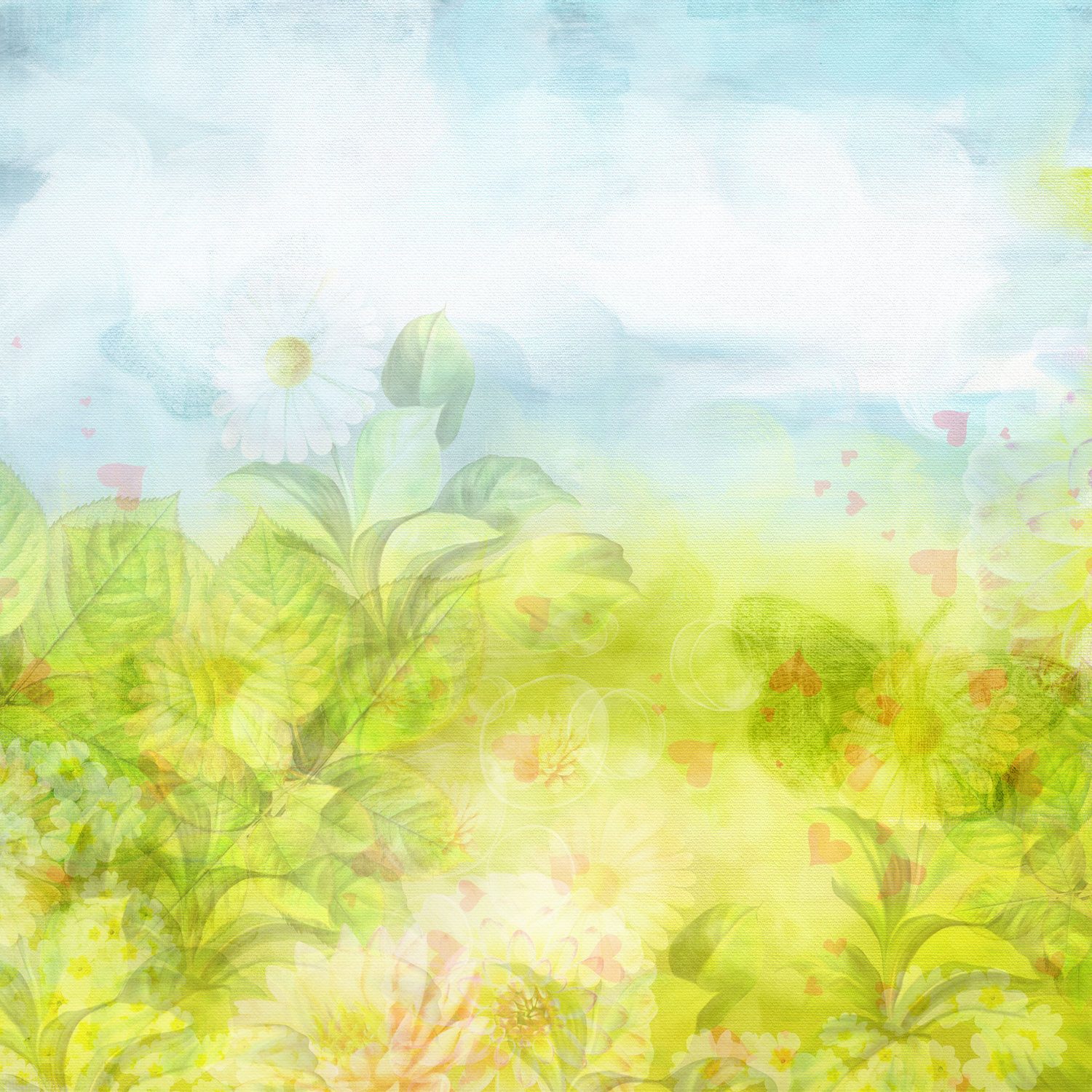 Meadow with flowers backgrounds for photoshop