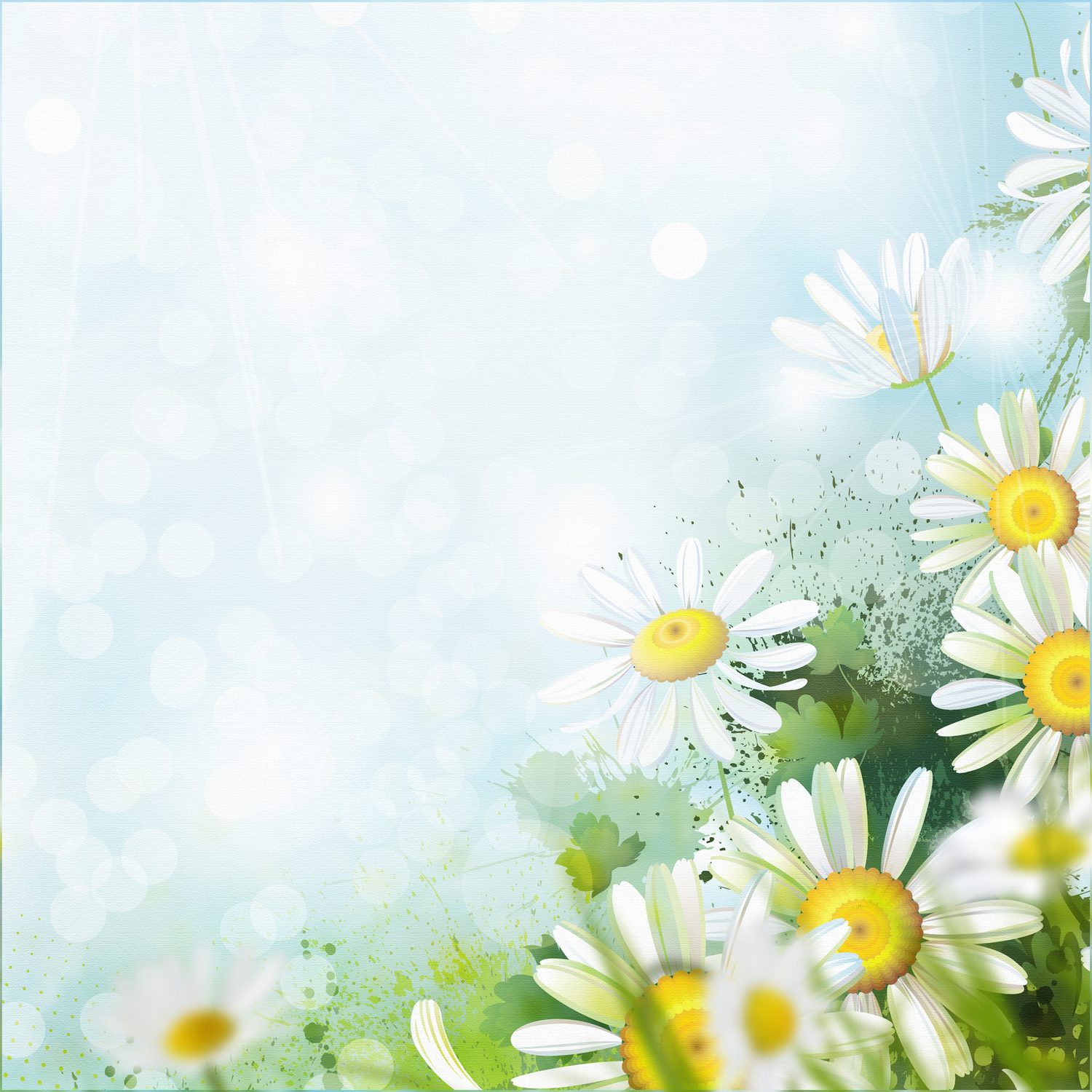 Meadow with flowers backgrounds for photoshop