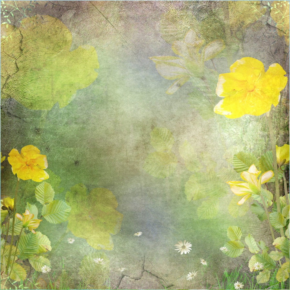 Meadow with flowers backgrounds for photoshop
