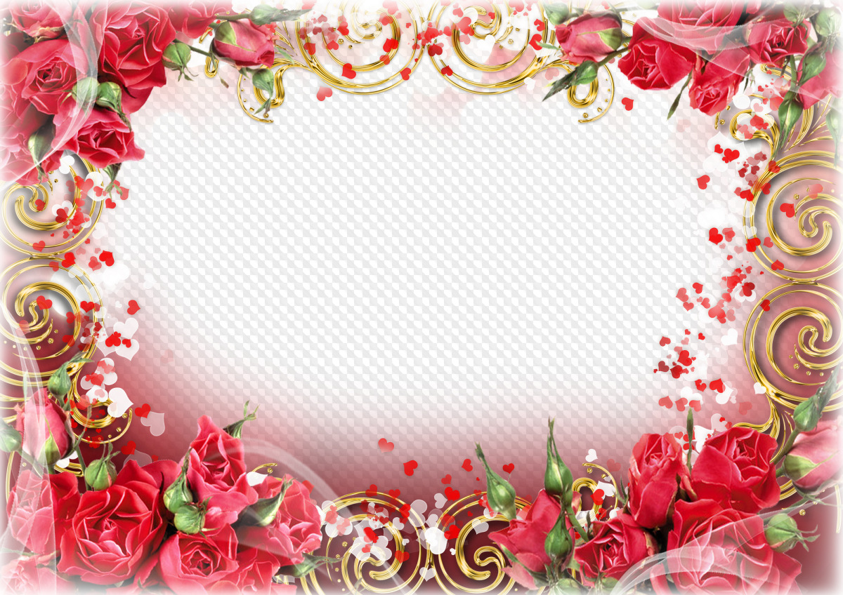 Wide congratulatory photo frame with scarlet roses