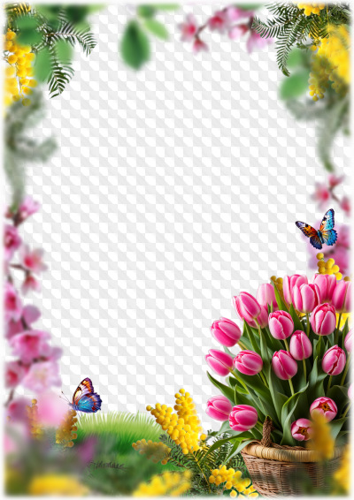 Frame for photo Congratulations on March 8 ( free photo frame psd, free ...