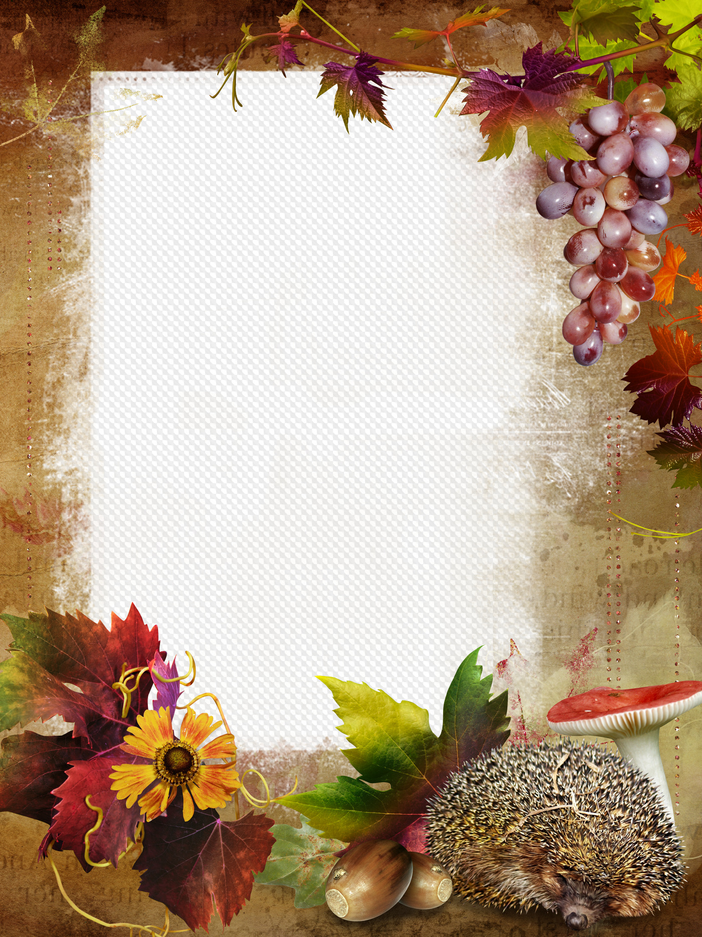 autumn photo frame psd - Magic beauty of autumn