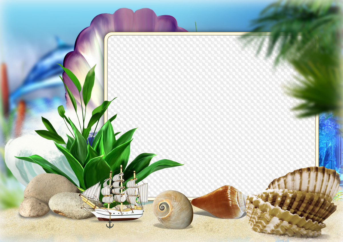 Collection of sea frames png with transparent background