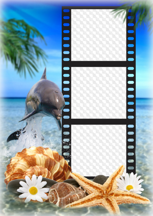 Collection of sea frames png with transparent background