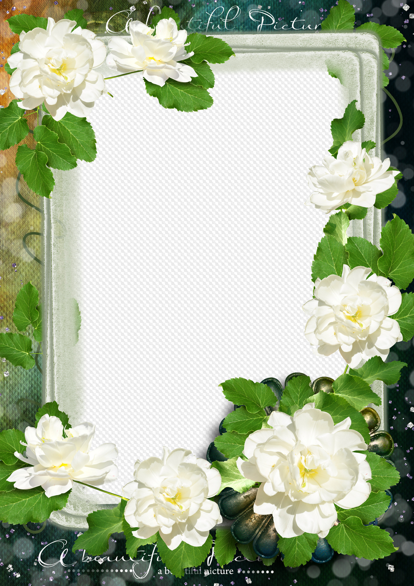 Collection vintage png frames with flowers