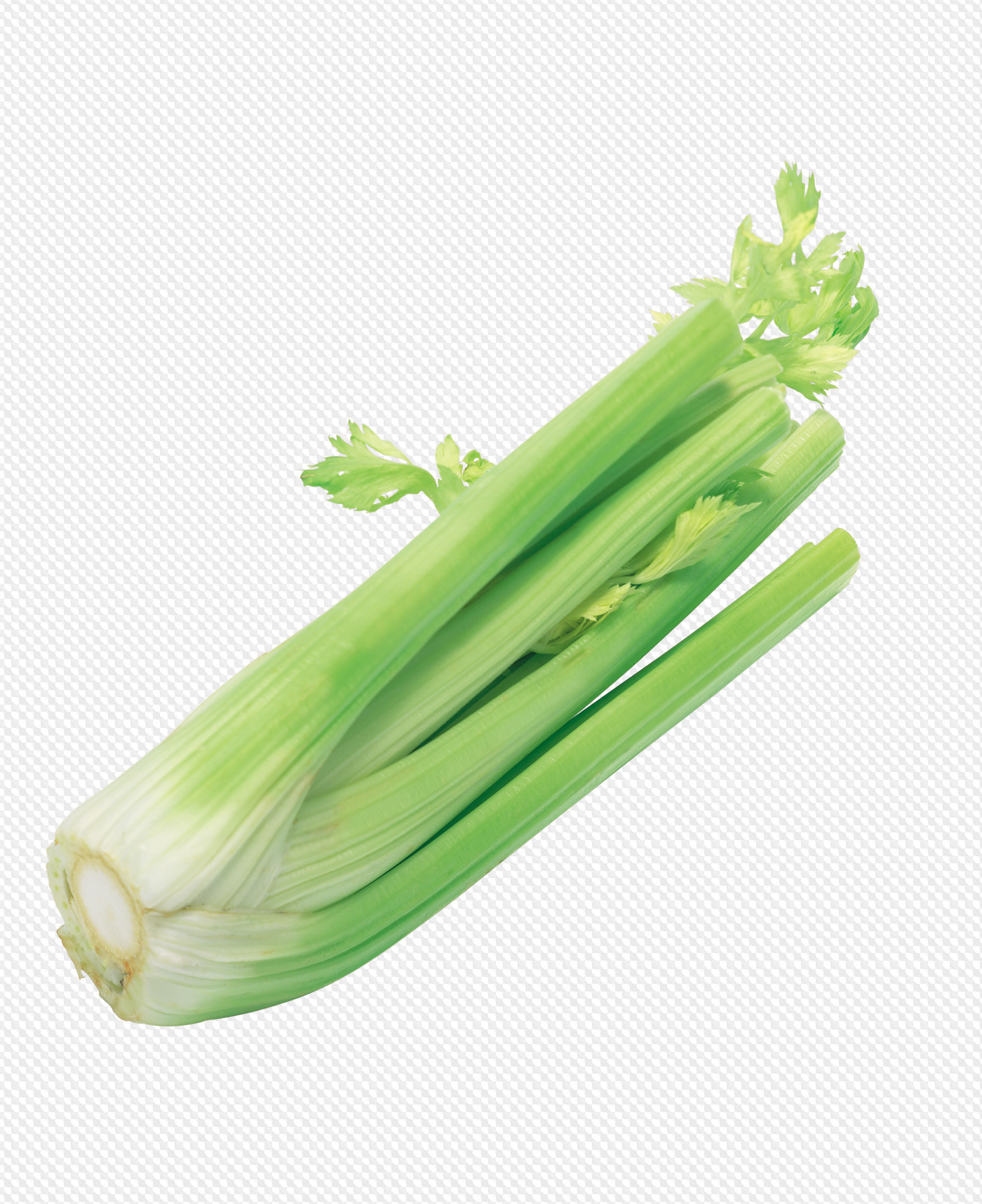 Celery PNG