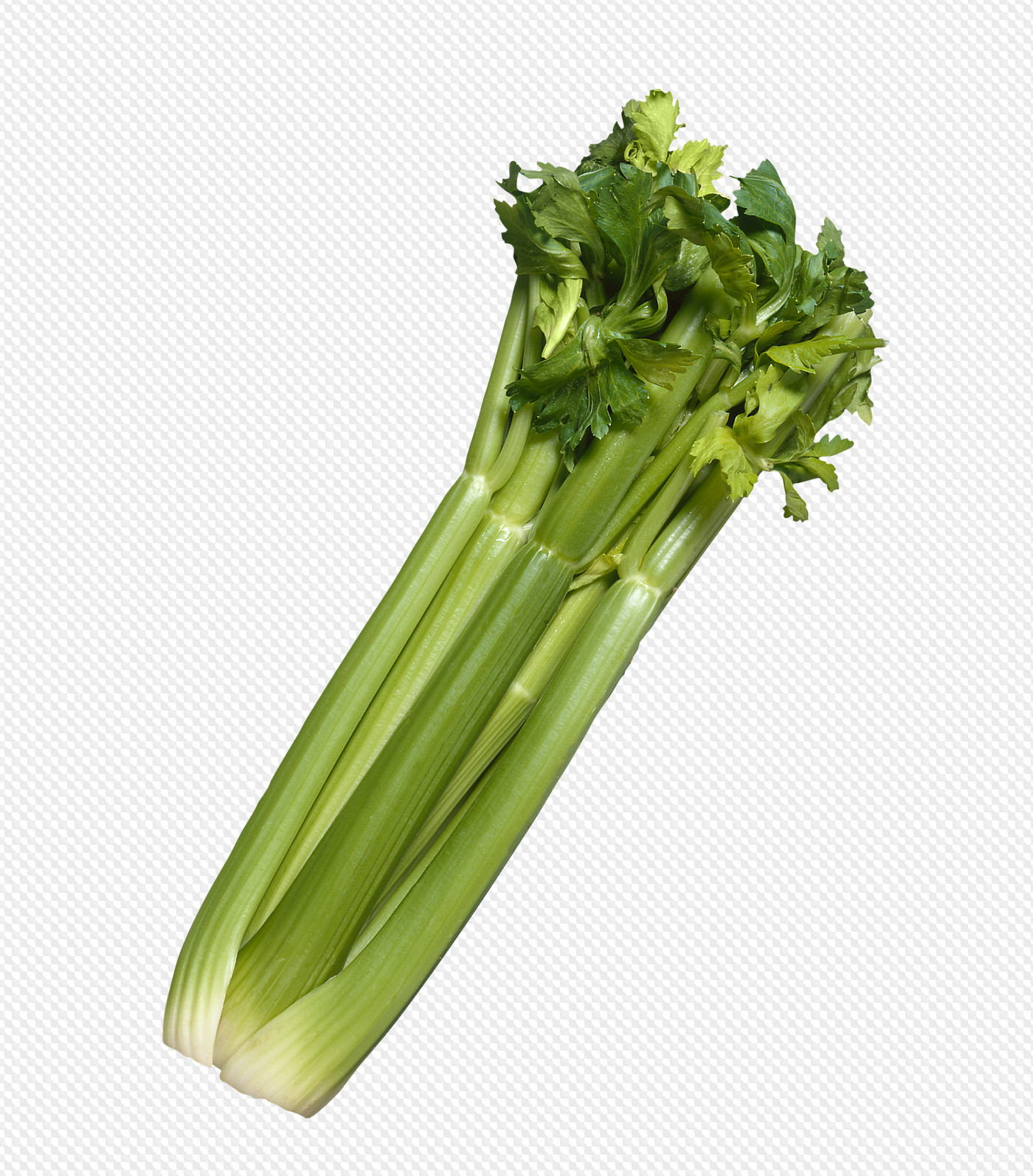 Celery PNG