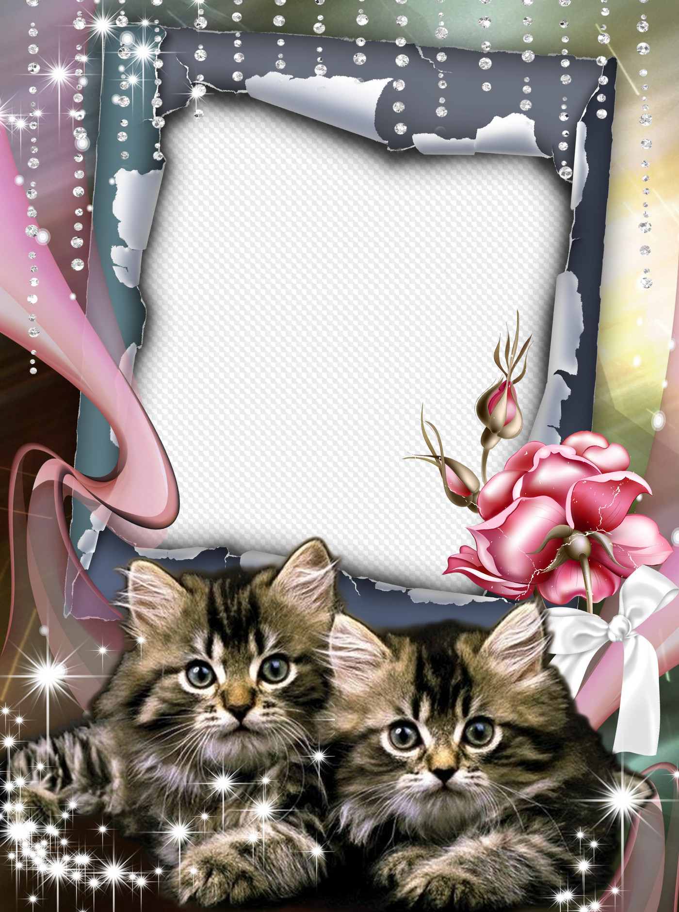 Frame - Cat nap on the window