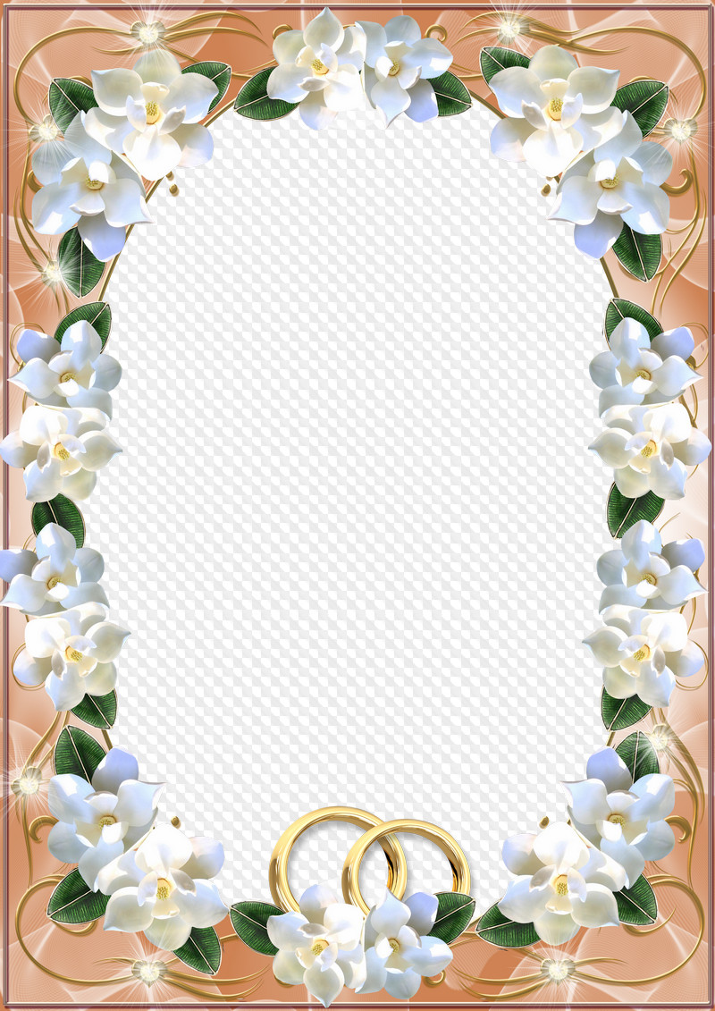 Wedding photo frame - White flowers download